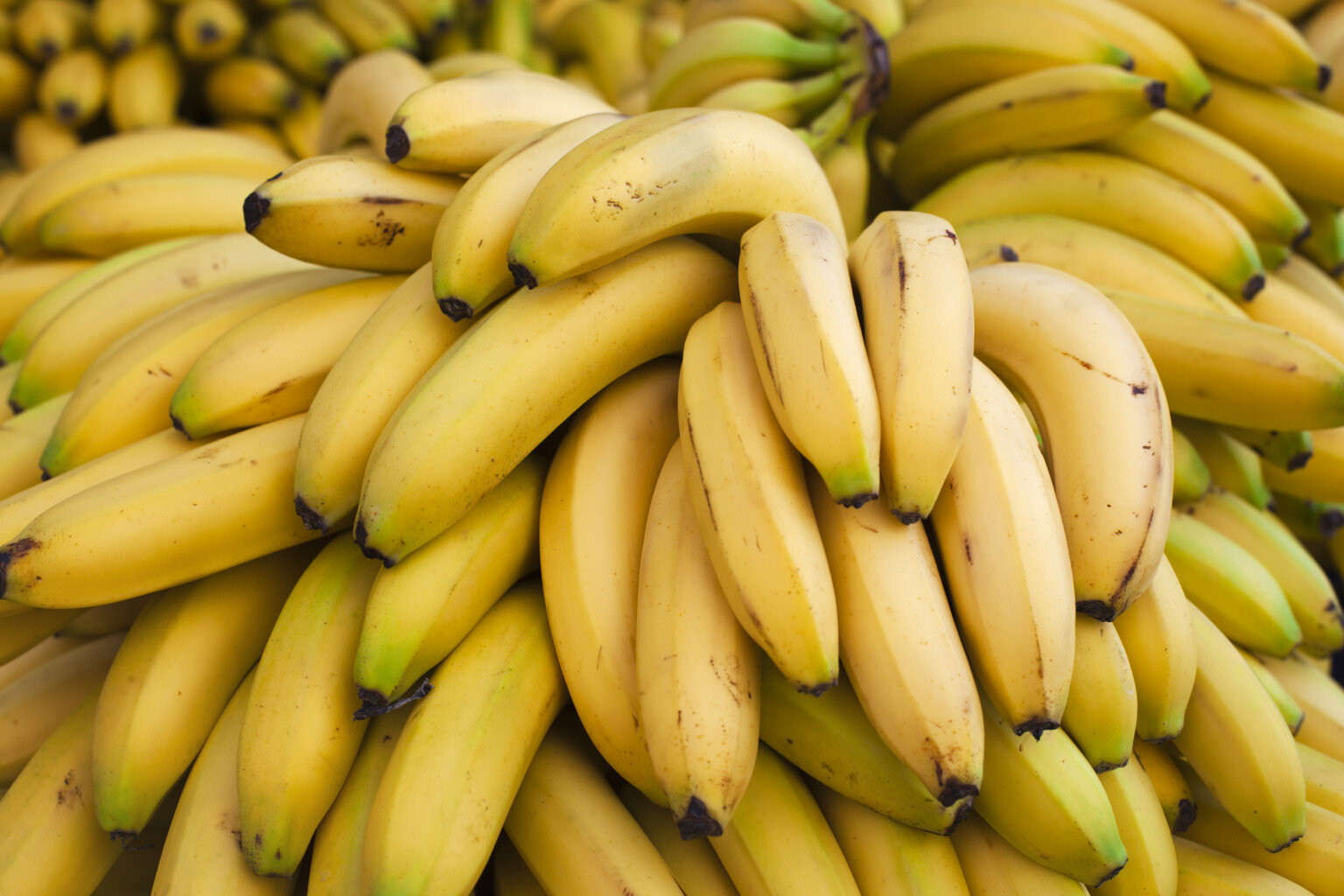The Essential Guide to Shipping Bananas - ABCO Transportation