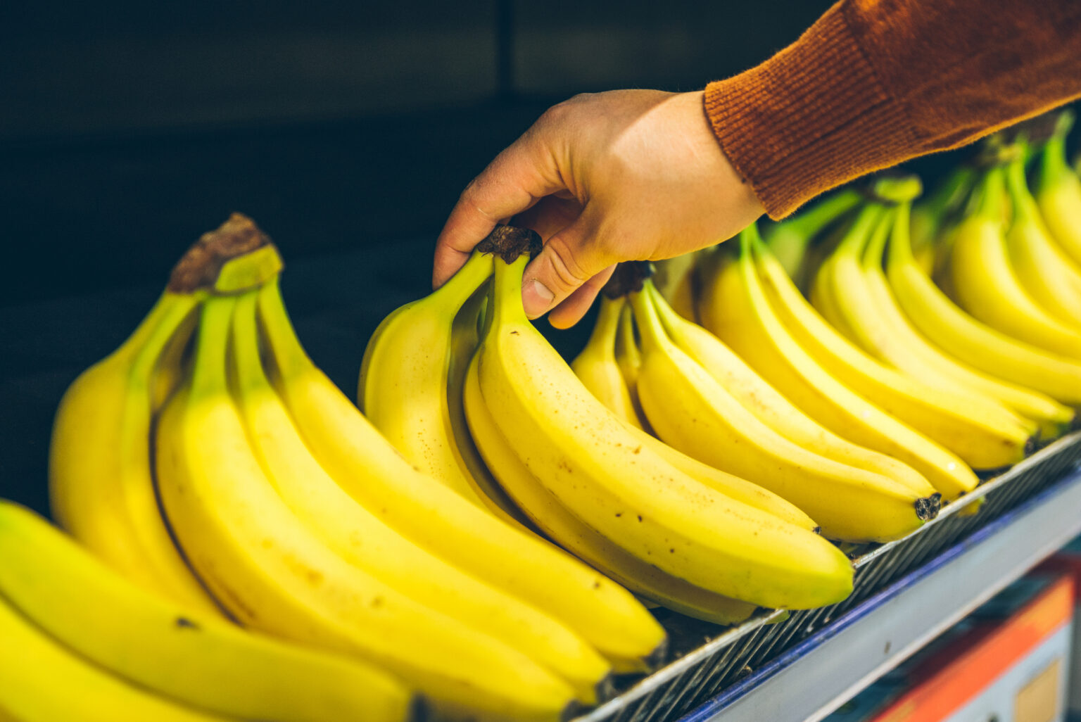 The Essential Guide to Shipping Bananas - ABCO Transportation